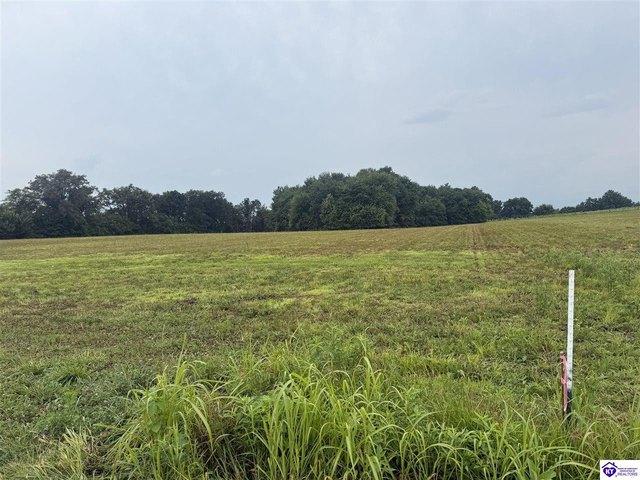 Heying Ln Lot 8, Hodgenville, KY 42748