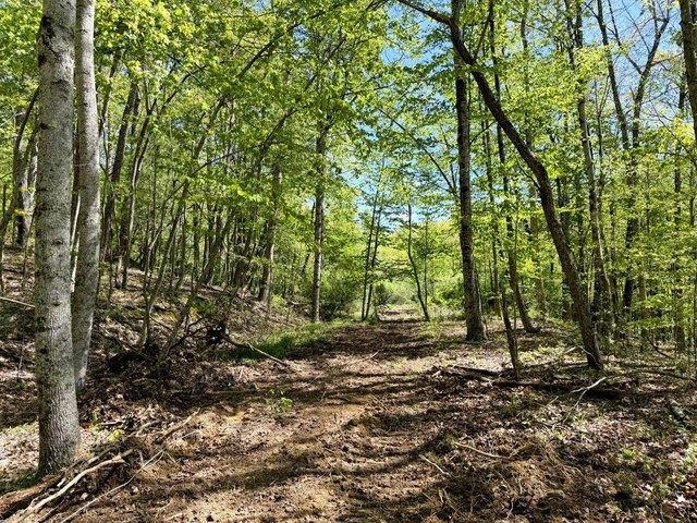 Hinton Rd, White Oak, WV 25989