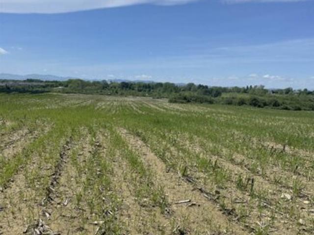 Hinesburg Rd, South Burlington, Plot For Sale