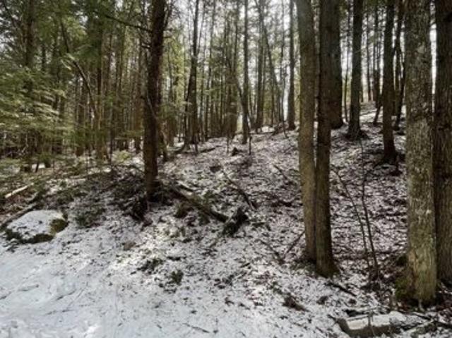 Hinkley Brook Rd, Grafton, Plot For Sale