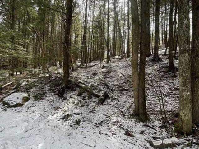 Hinkley Brook Rd, Grafton, VT 05146