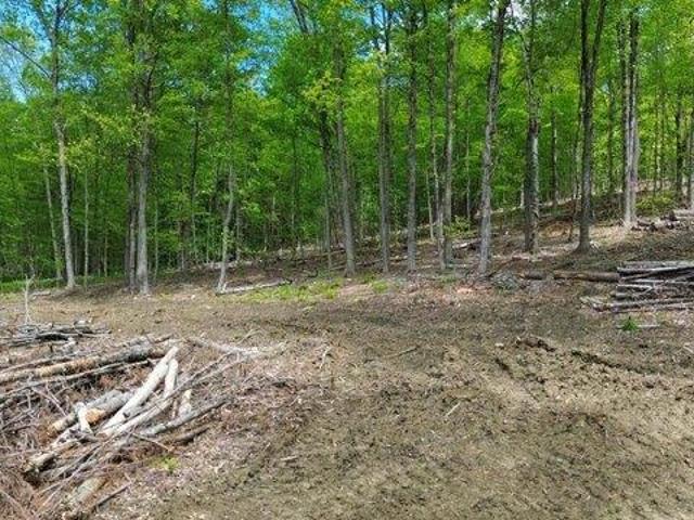 Hinsdale NH 03451 104608035