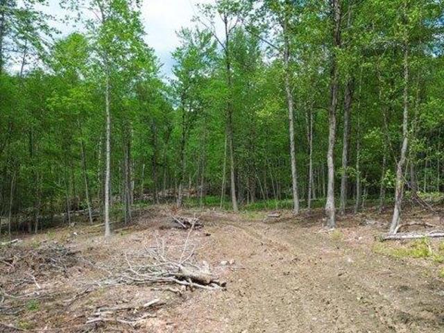 Hinsdale NH 03451 104687688
