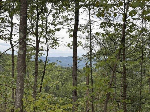 Hinsdale NH 03451 104718720