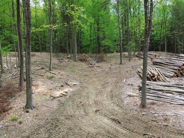 Hinsdale NH 03451 104835462