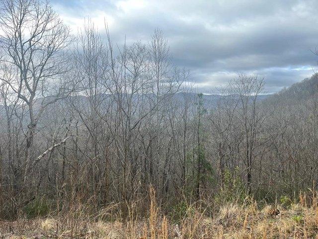 Hiawassee, GA 30546