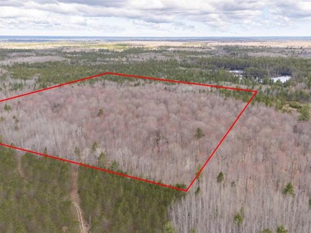 Hiawatha Station Rd, Manistique, MI 49854