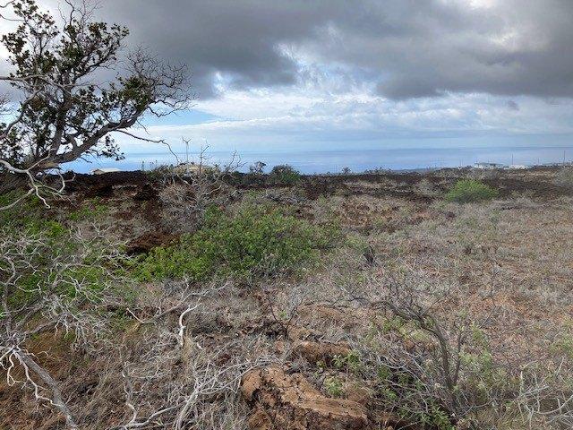 Hibiscus Dr, Ocean View, HI 96737