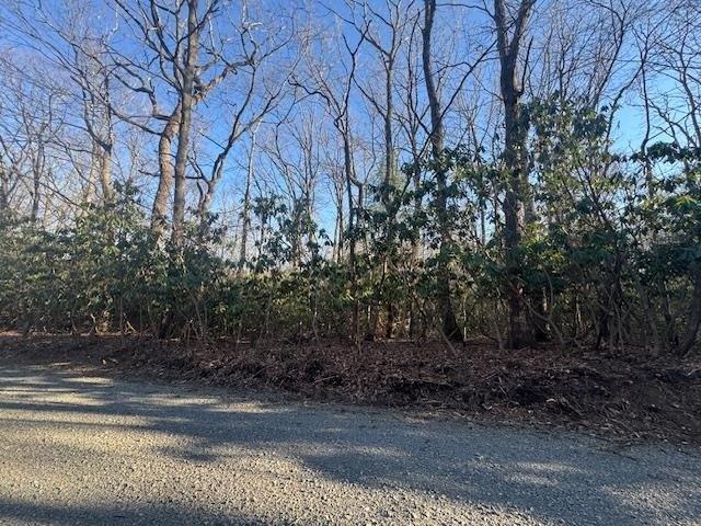 Hickory Nut Hollar Lot 7879, Hillsville, VA 24343