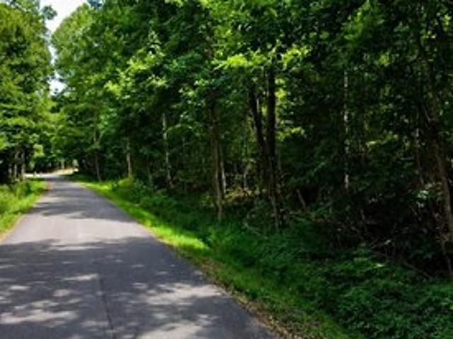 Hickory Hill Rd Lot 1509320001221, Rainbow City, AL 35906