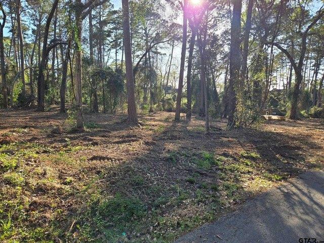 Hickory Ln Lot 5, Bullard, TX 75757