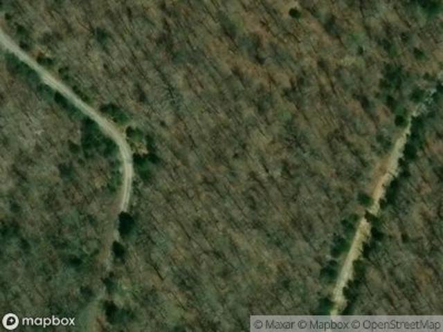 Hickory Ln