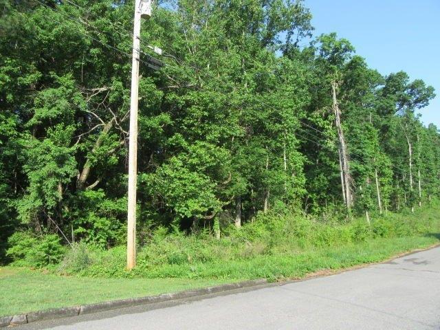 Hickory Ridge Trl Lot 219, Ringgold, GA 30736