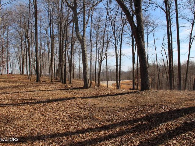 Hickory Way, LaFollette, TN 37766