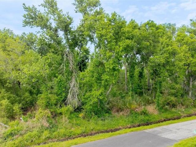 Hickman Ave, Plant City, FL 33563