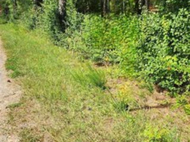 Hicks Rd Lot 0, Oneonta, AL 35121