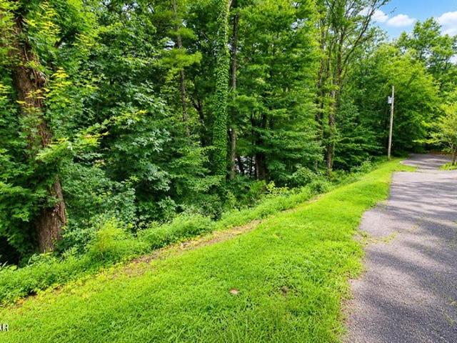 Hid View St Lot 53, Sevierville, TN 37876