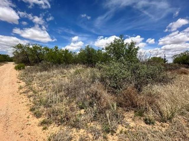 Hidalgo Ave, Colorado City, TX 79512