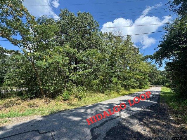 Hidalgo Loop, Mabank, TX 75156