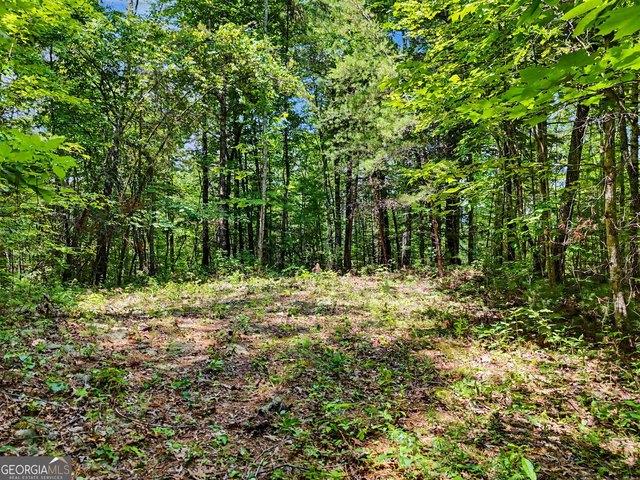 Hidden Falls Dr Lot 3, Tiger, GA 30576