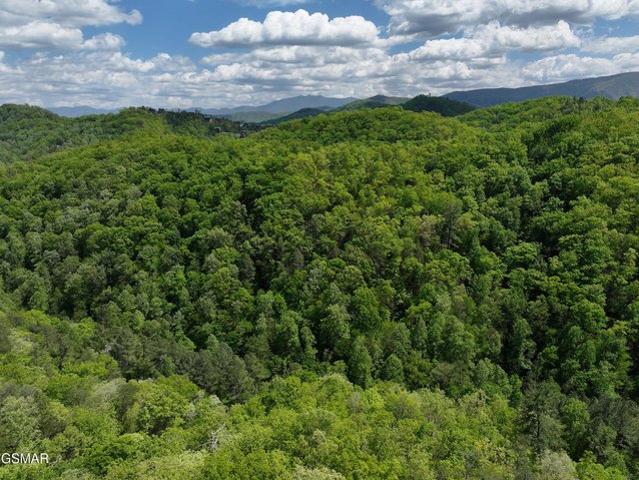 Hidden Hollow Way, Sevierville, TN 37862