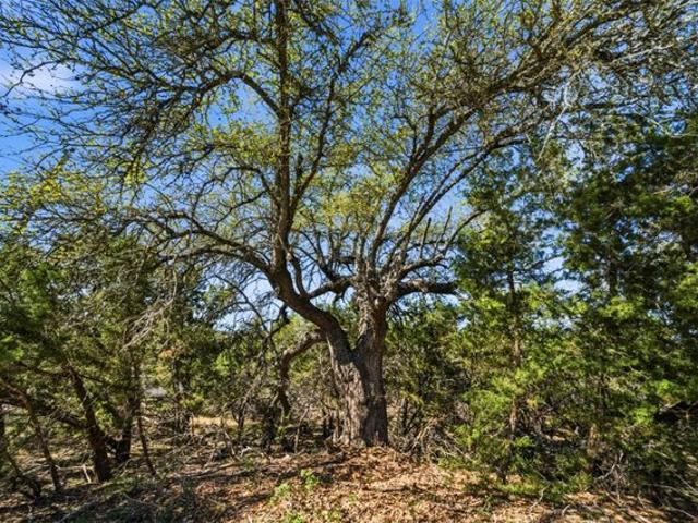1038 Hidden Hills Dr, Dripping Springs, TX 78620