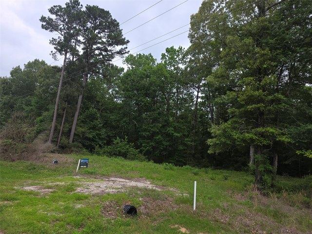 Hidden Oak Dr, Pointblank, TX 77364