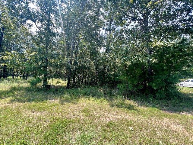 Hidden Oaks Dr, Pointblank, TX 77364