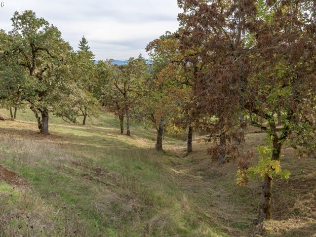 Hidden Meadows