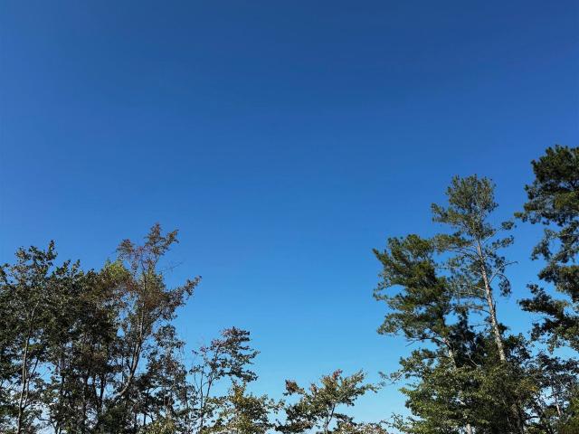Hidden Shores County Road 158 Lot 28