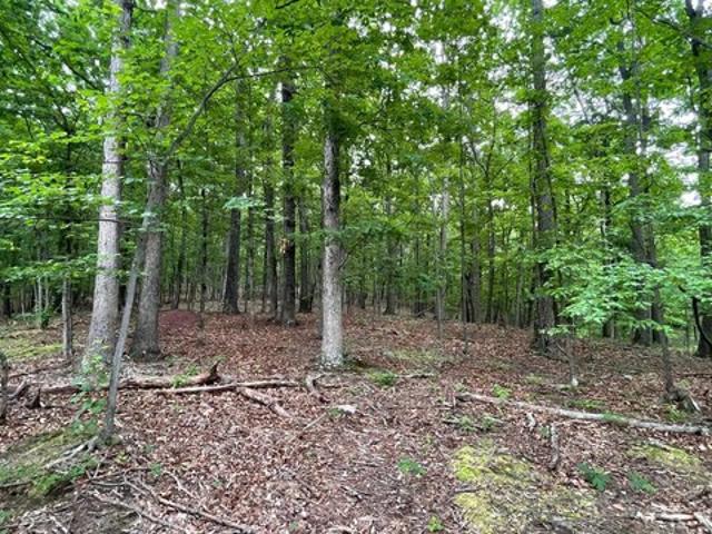 Hidden Springs Ct Lot 53, Slanesville, WV 25444