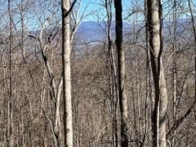 Hidden Summit Rd Lot 29, Hiawassee, GA 30546