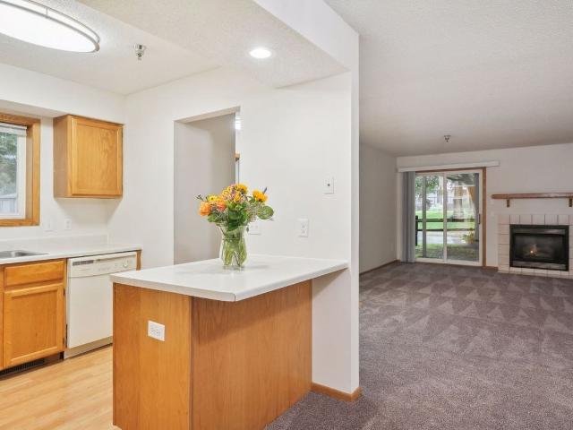 Hidden Pointe Lida Kumquat 2 Bedroom Apartment for Rent at 10550 Kumquat St Nw, Coon Rapids, MN 55448