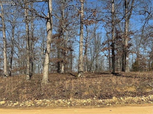 Hidden Valley Lks Lot Ee and Ees, Annapolis, MO 63620