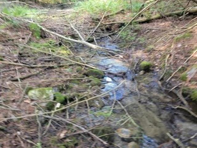 Hidden Valley Rd, Shaftsbury, Plot For Sale