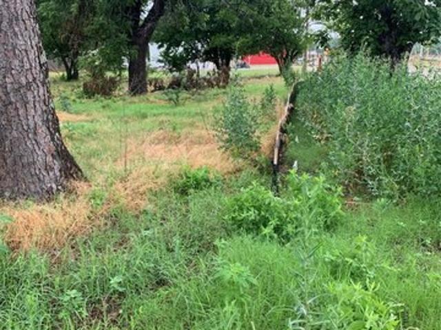 Hide Way Rd, Thackerville, OK 73459