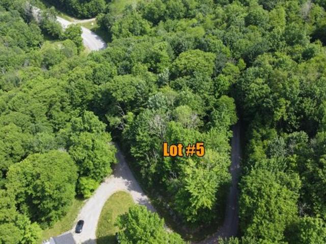 Hideaway Trl, Slatyfork, Plot For Sale