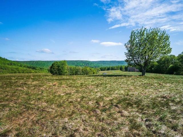 High Meadow Dr Lot 7, Davis, WV 26260