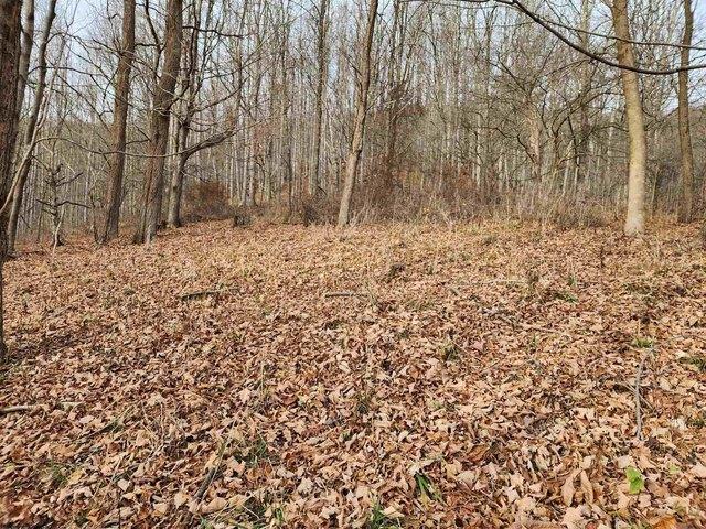 High Mountain Rd Lot 4, Harman, WV 26270
