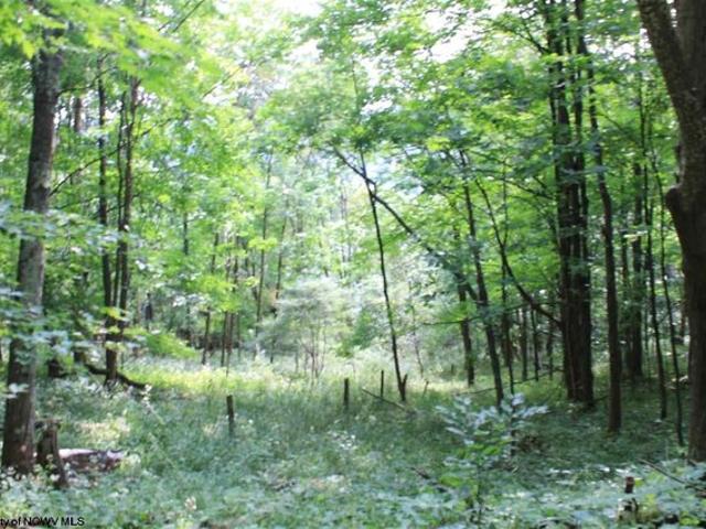 High Mountain Rd Lot 7, Harman, WV 26270