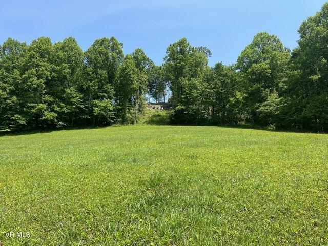 High Country Pvt Rd Lot 2, Butler, TN 37640