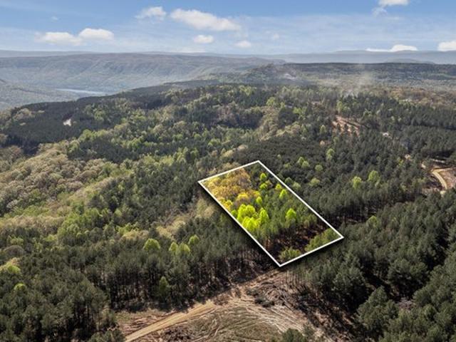 High Ground Rd Lot 2233, Guild, TN 37340