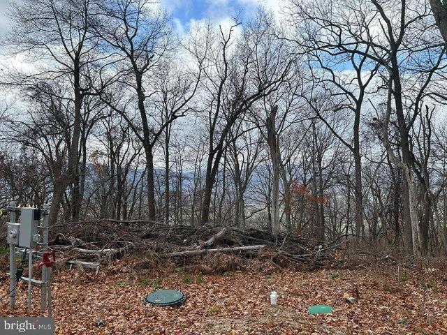 High Knob, Old Fields, WV 26845