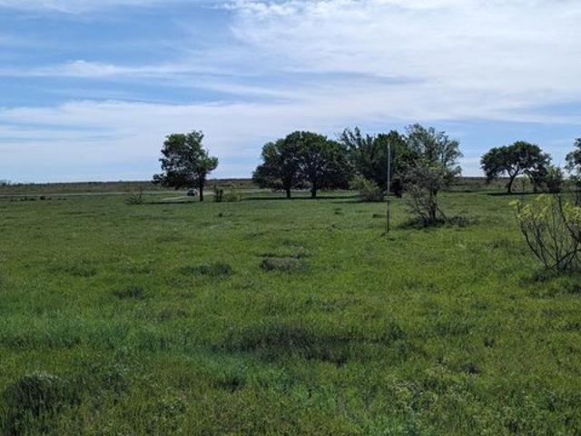 High Plains Trl Lot 30, Bellevue, TX 76228