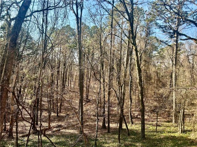 High Point Trail