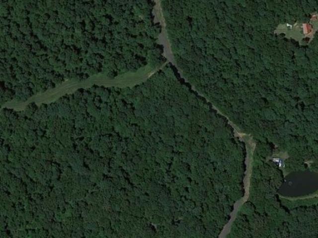 High Rd, Sedalia, KY 42079