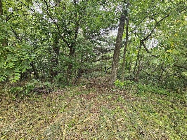 High Rd Unit 40, Wild Rose, WI 54984