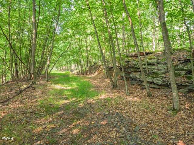 High Ridge Ct