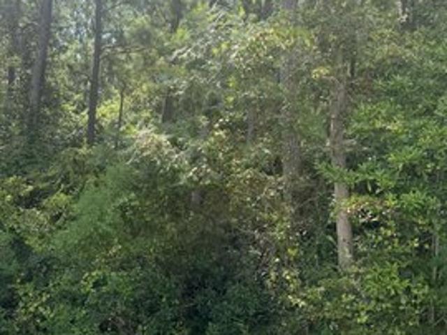 High Ridge Dr Lot 92, Ocean Springs, MS 39564