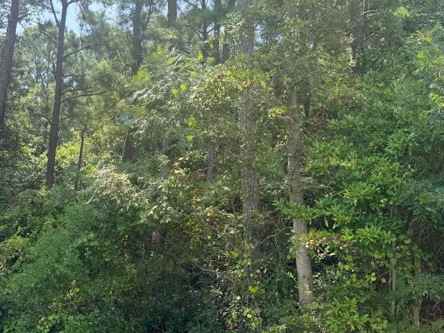 High Ridge Drive, Ocean Springs, MS 39564